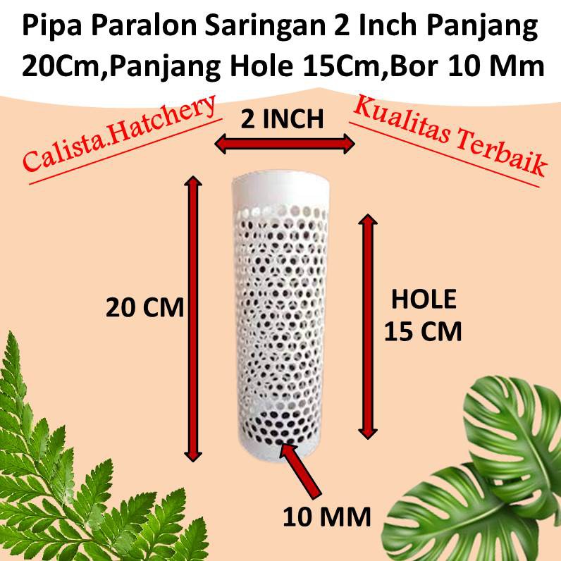 Jual Promo Termurah Pipa Saringan Kolam Paralon 2 Inch Panjang 20Cm ...
