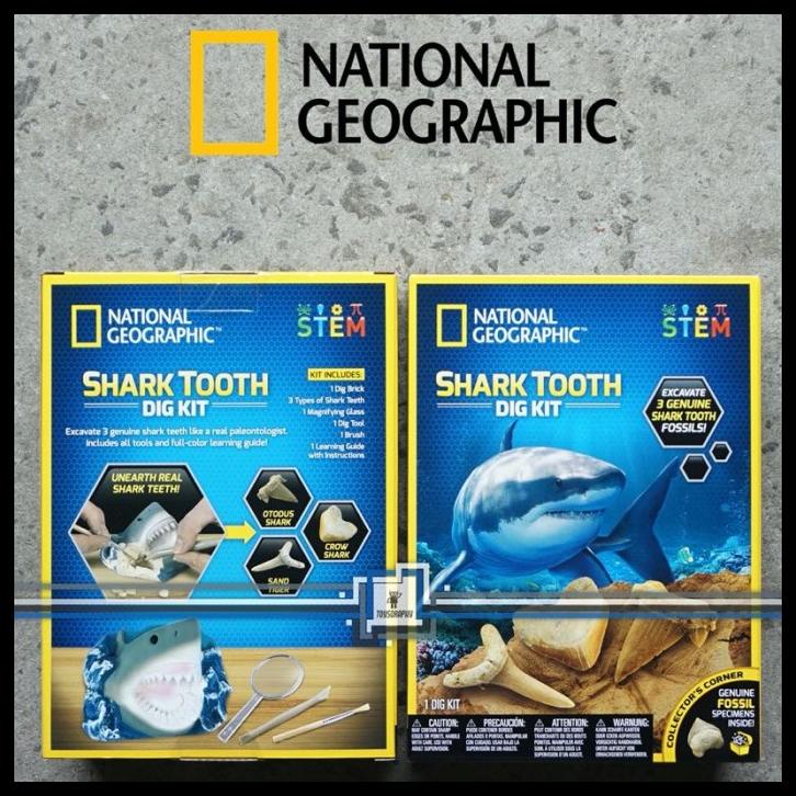 Jual National Geographic Shark Tooth Dig Kit Real Shark Fossils Stem ...