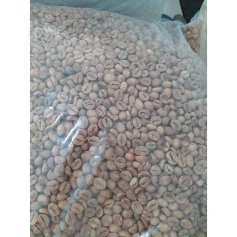 Jual Luwak asli kopi biji green bean arabika robusta civet coffee ...