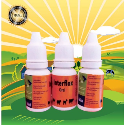Jual Interflox Oral - OBAT FLU PILEK KUCING KELINCI 10ml | Shopee Indonesia