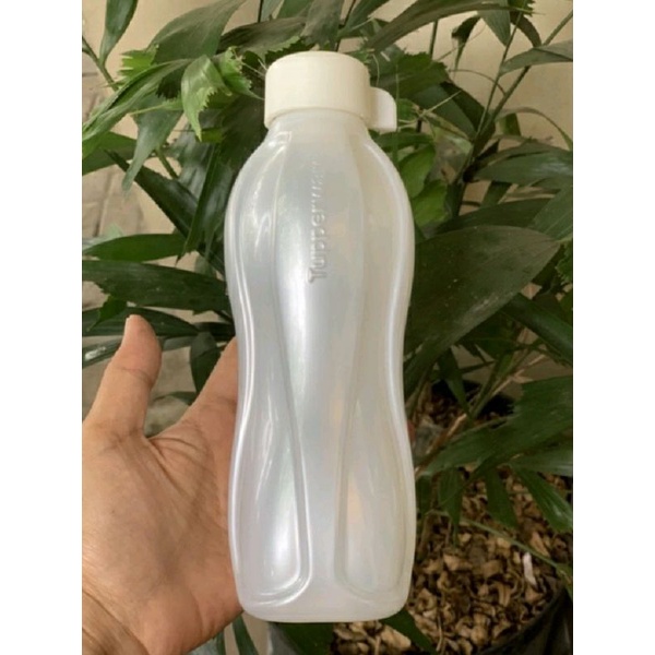 Jual Botol eco 500ml tutup ulir(putih mutiara) | Shopee Indonesia