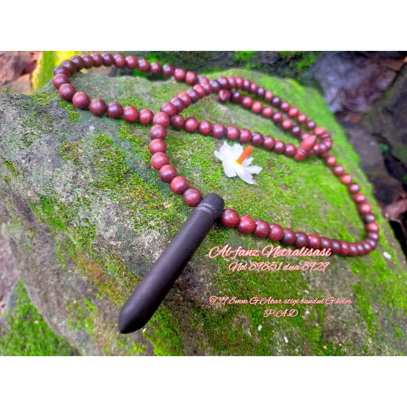 Jual tasbih galih akar stigi mati ngurak dengan kepala tasbih galih ...