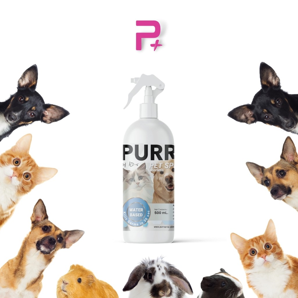 Jual PURR+ Premium Pet Spray 500ML Antiseptic Ion-Activated Water ...