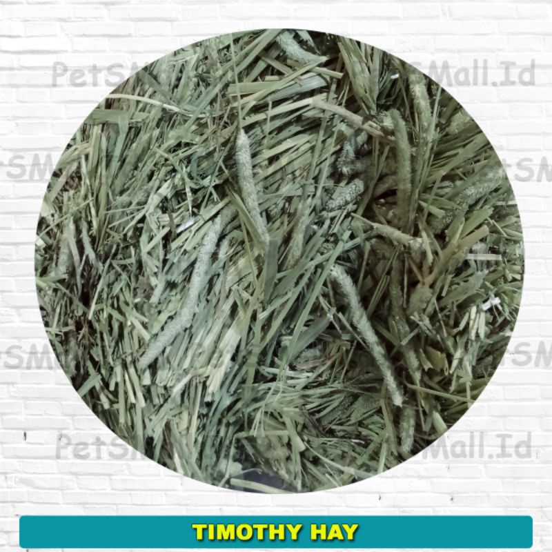 Jual makanan marmut rumput hay timothy Alfalfa King (AFK) 100 gram ...