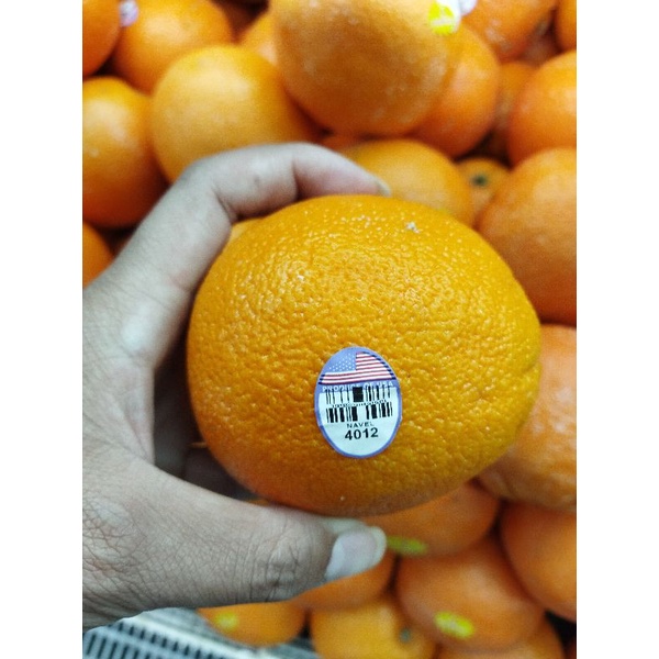 Jual jeruk navel USA jumbo | 1 kg | Shopee Indonesia