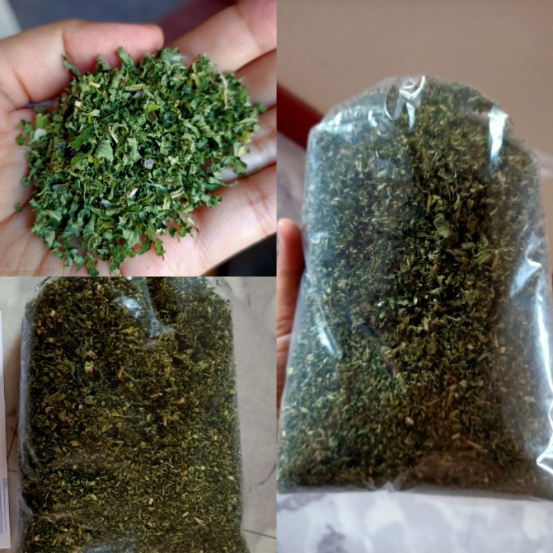 Jual Daun Ka Cang Ma / Kaciang Ma / Kachiang Ma / Kaciangma / Kacangma ...