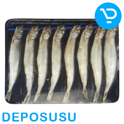 Jual IKAN SHISHAMO CAPELIN TELUR | SHISAMO FROZEN FISH | Shopee Indonesia