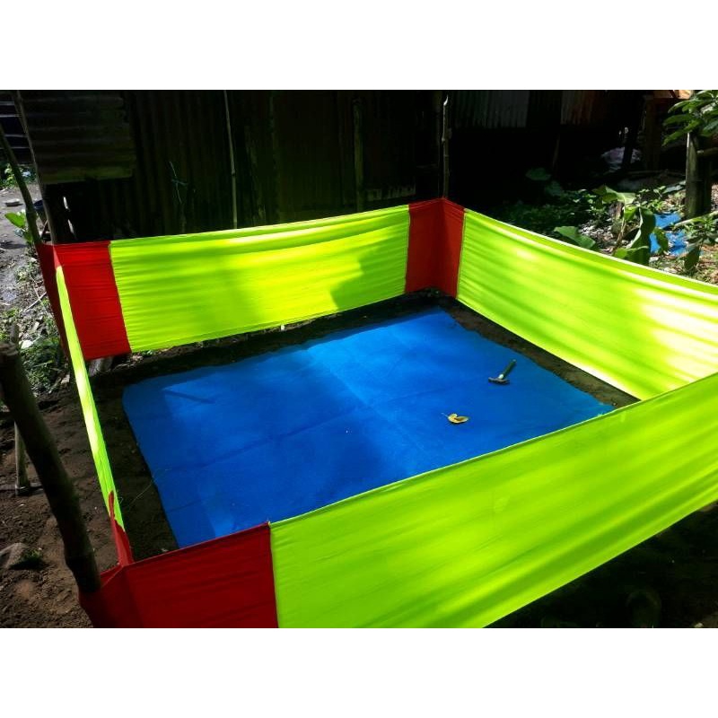 Jual Geber ayam aduan Geber Aduan Abar Ayam | Shopee Indonesia