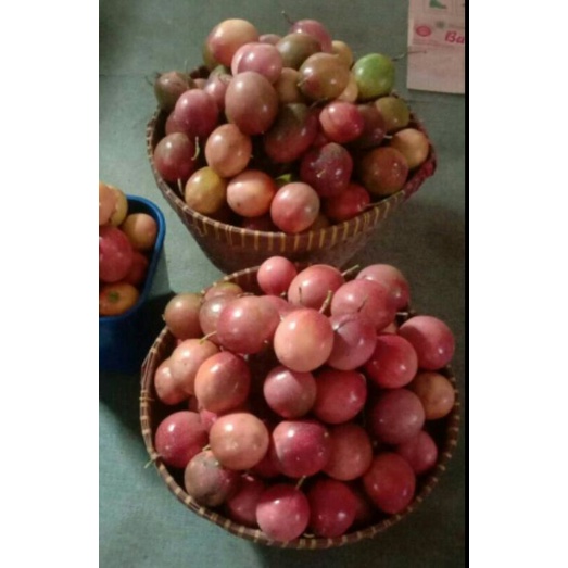Jual Buah Markisa manis asem segar 1 KG | Shopee Indonesia