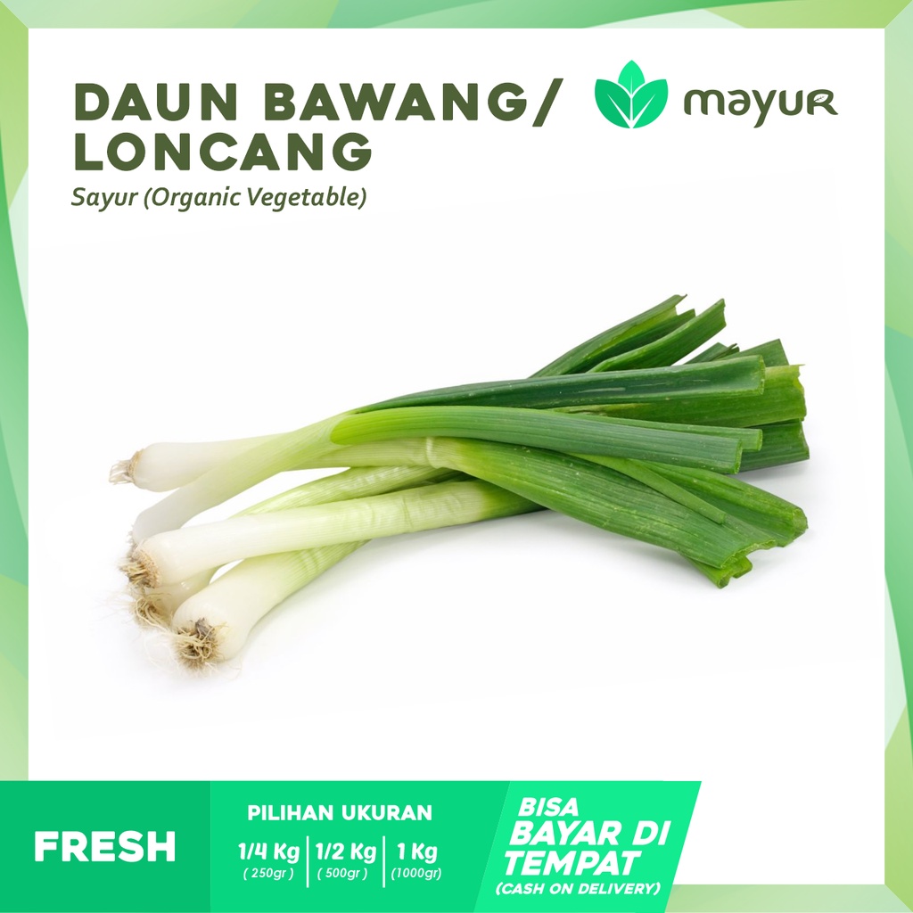 Jual Daun Bawang / Loncang ( 250gr | 500gr | 1 kg ) | Shopee Indonesia