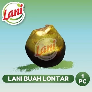 Jual Buah Lontar Terlengkap & Harga Terbaru Juni 2024 | Shopee Indonesia