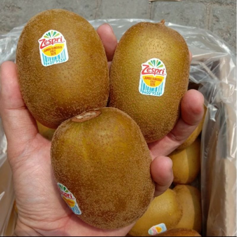 Jual kiwi sungold zespri gold jumbo | 1 kg | Shopee Indonesia