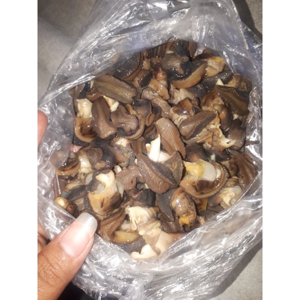 Jual Daging Bekicot | Shopee Indonesia