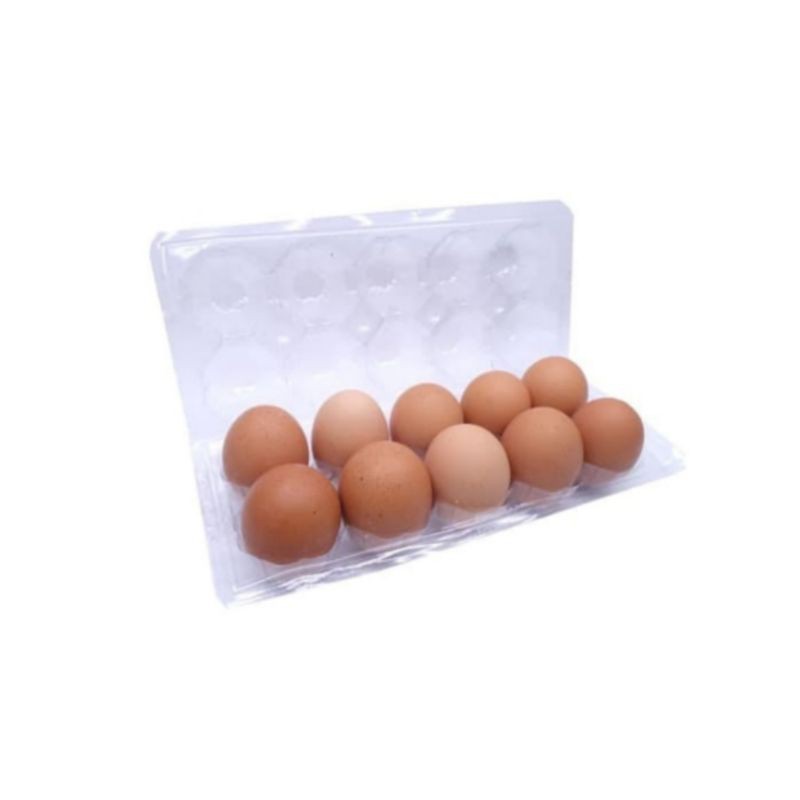 Jual SEMBAKO - Telur Ayam Negeri 10 butir Go Send Grab Express | Shopee ...