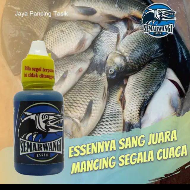 Jual Essen ikan mas | Shopee Indonesia