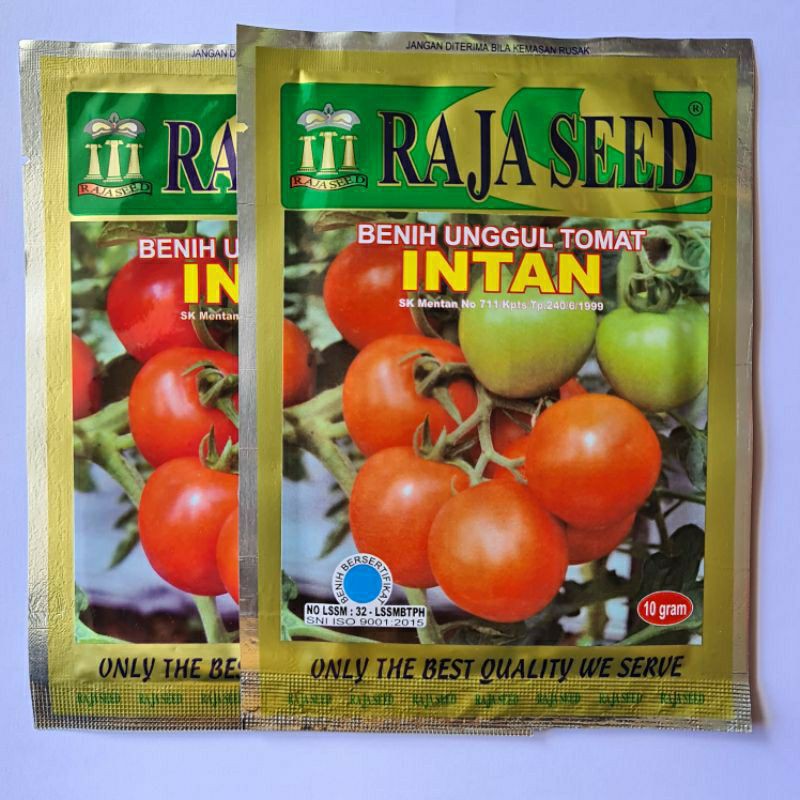 Jual Isi 10gr Benih Tomat Intan Raja Seed - Bibit Tomat - Benih Buah ...
