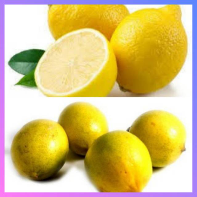 Jual Lemon Lokal, Lemon Impor 500 gram | Shopee Indonesia
