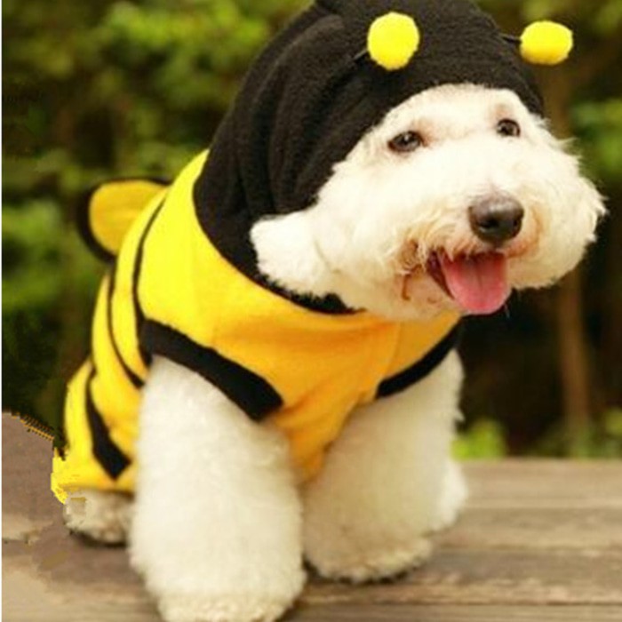 Jual Baju Anjing Model Lebah / Baju Kucing / Kostum Anjing & Kucing ...