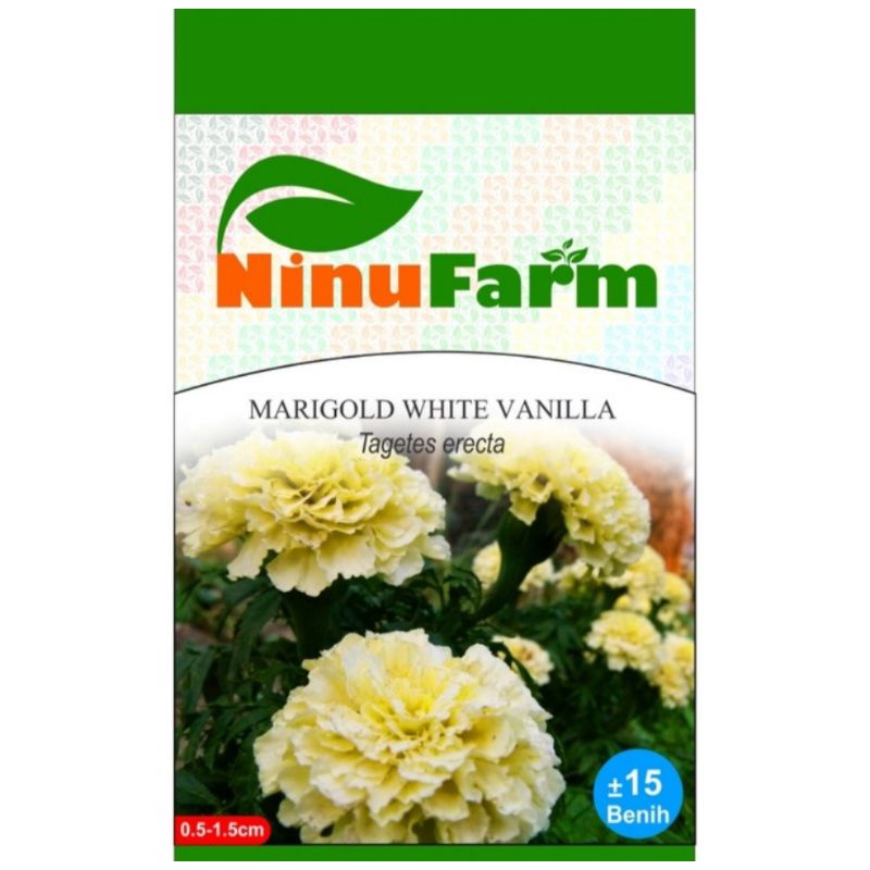 Jual Benih Bunga Marigold White Vanilla / Bibit Bunga Marigold Putih ...