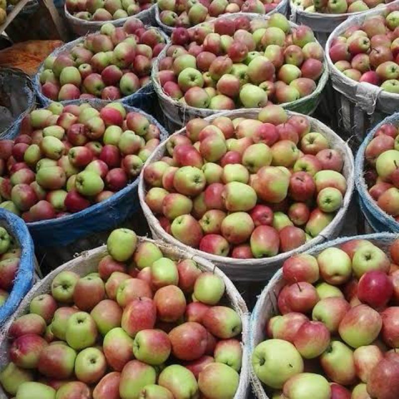 Jual APEL ANA KWB Kota Wisata Batu 1kg TERMURAH /APEL ANNA / APEL SEGAR ...