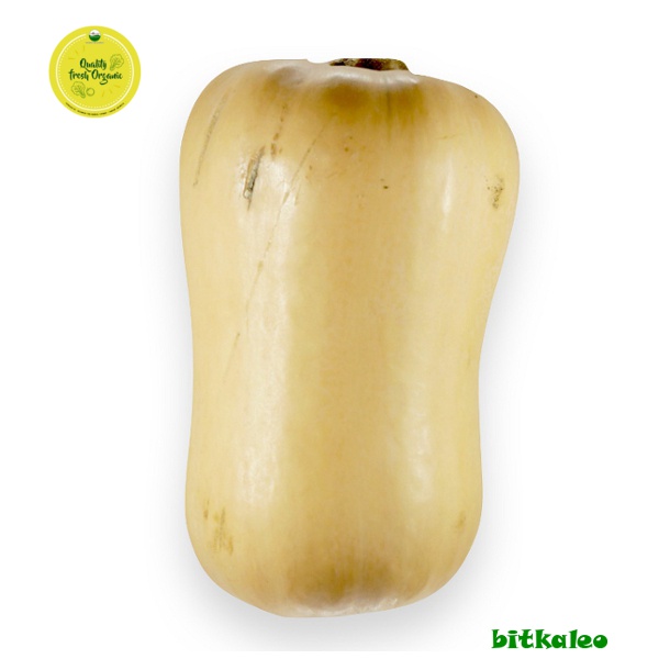 Jual Labu Butternut Organik 1 Kg (PO) | Shopee Indonesia