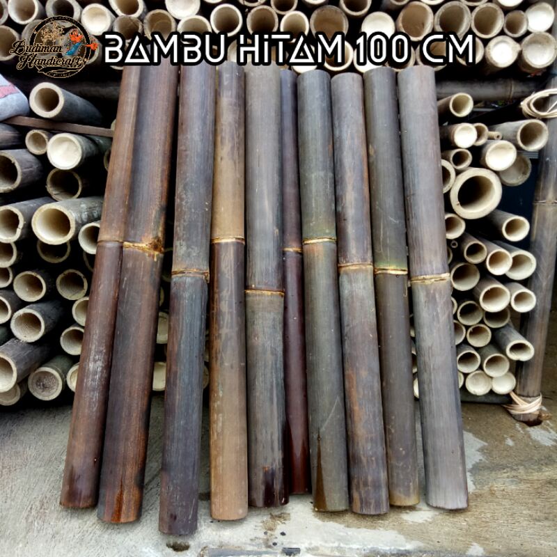 Jual Bambu Hitam 100cm | Shopee Indonesia