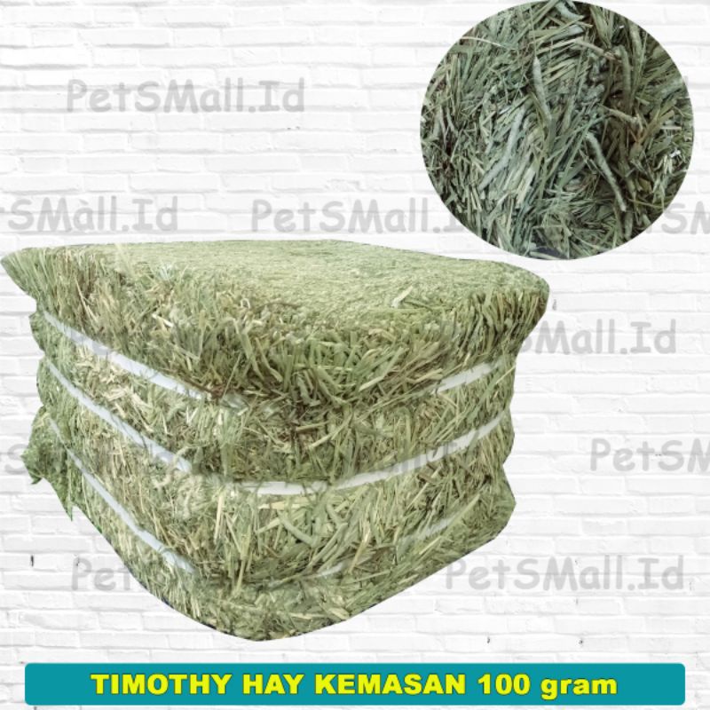Jual makanan marmut rumput hay timothy Alfalfa King (AFK) 100 gram ...