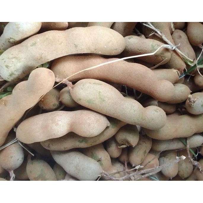 Jual Asem Mentah Asam Utuh Buah Asem Rempah Rempah 250gr | Shopee Indonesia