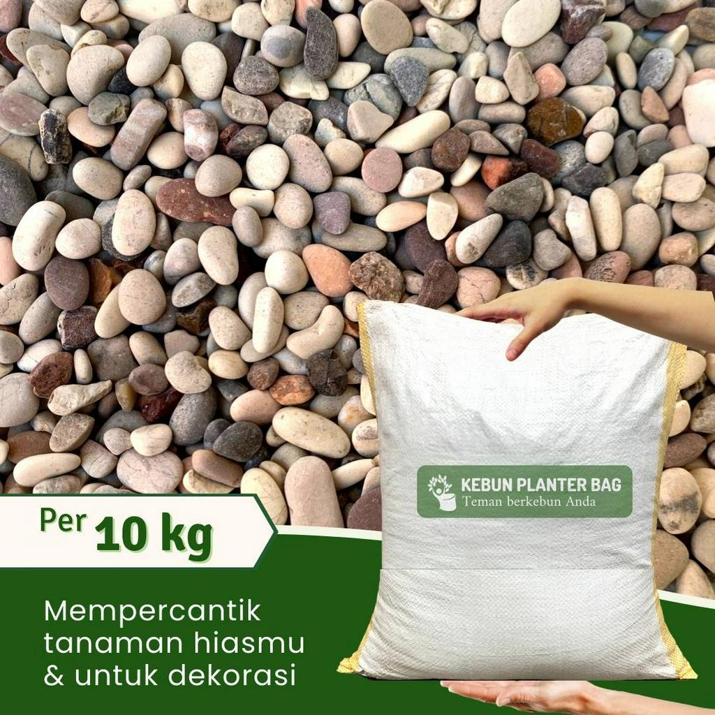 Jual Batu Koral Putih 10 Kg Alam Natural Dekorasi Tanaman Pot Hias | Shopee Indonesia