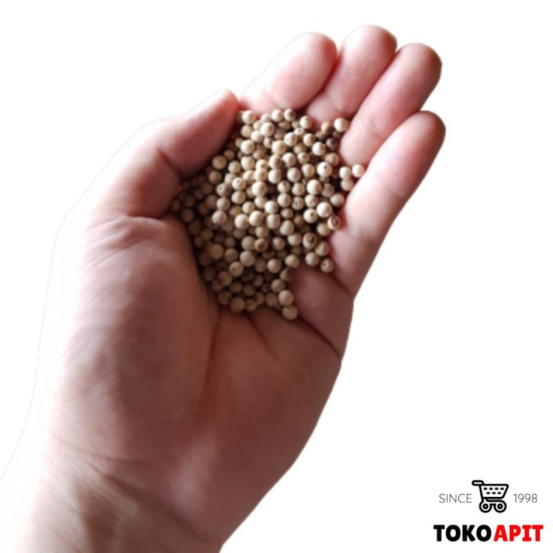 Jual LADA PUTIH BANGKA GRADE A ISI 1 KG / BIJI LADA PUTIH BANGKA ASLI ...