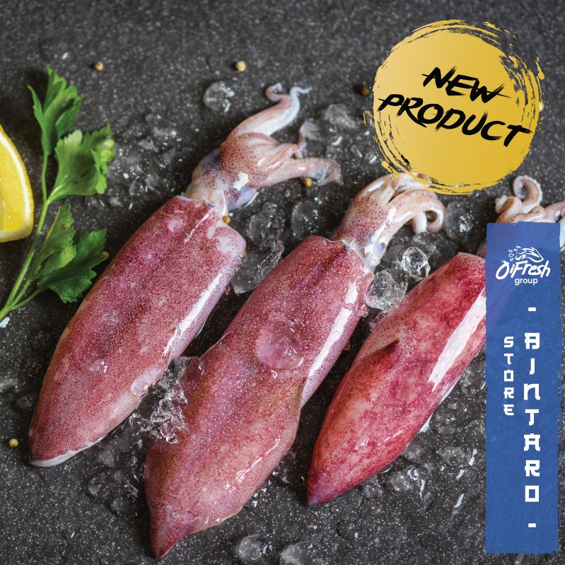 Jual Cumi Cumi Bangka PREMIUM LOKAL Segar dan Bergaransi / Pack ...