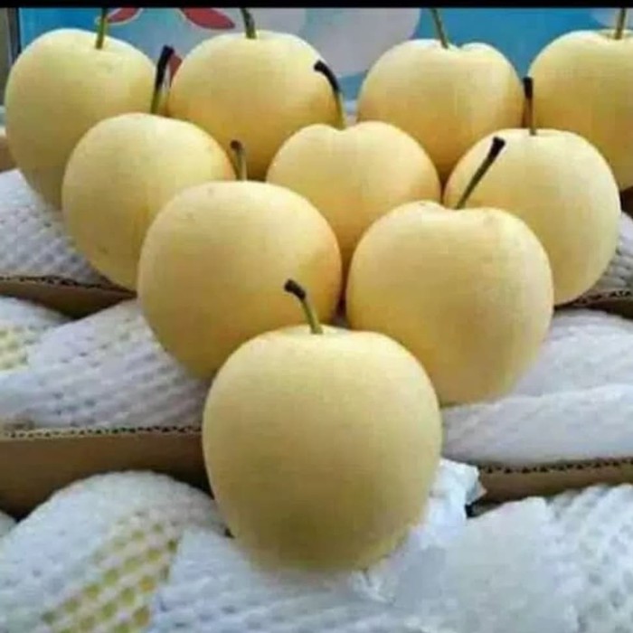 Jual Pir hijau packham Pir century Madu Makanan Parcel buah buahan ...