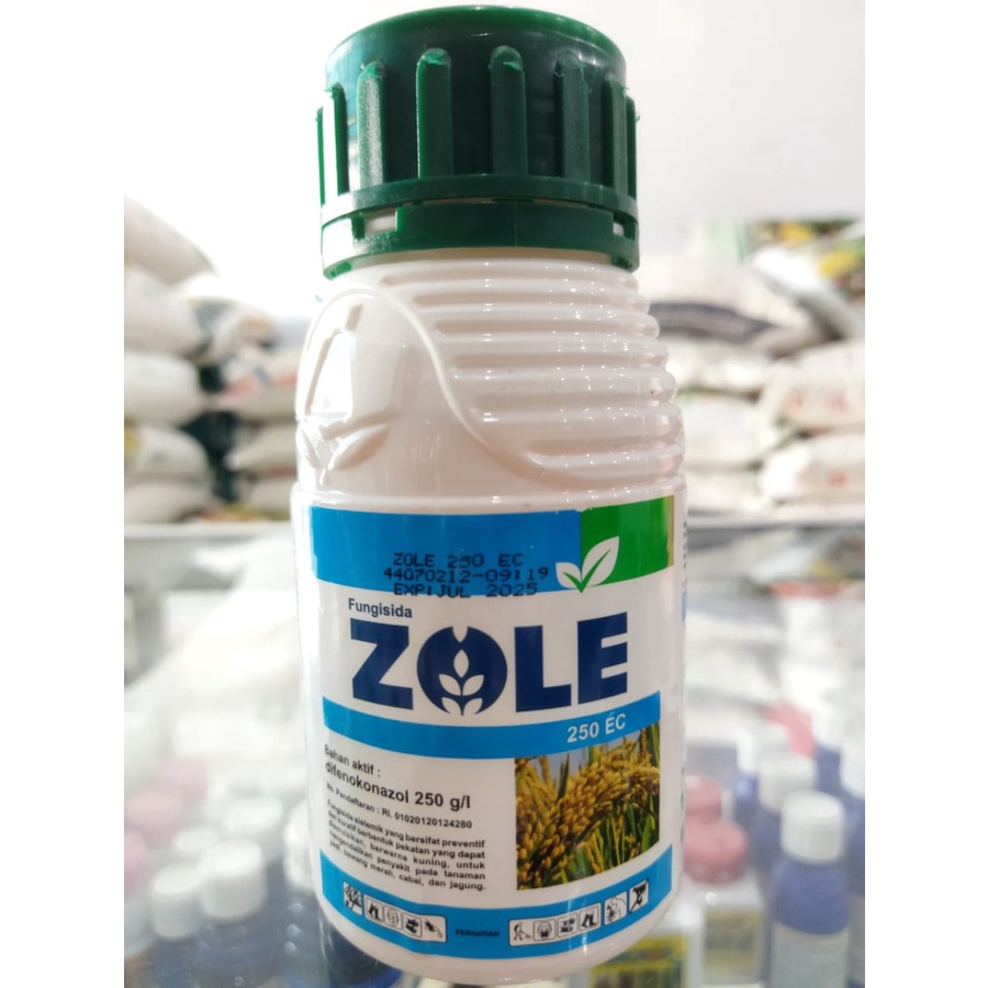Jual ZOLE 250 ML | Shopee Indonesia