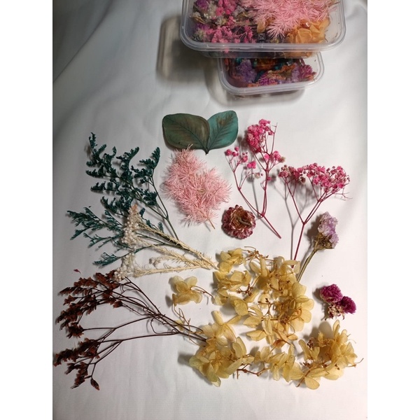 Jual Bunga Kering Asli Box Real Dry Flowers Untuk Isian Resin Epoxy