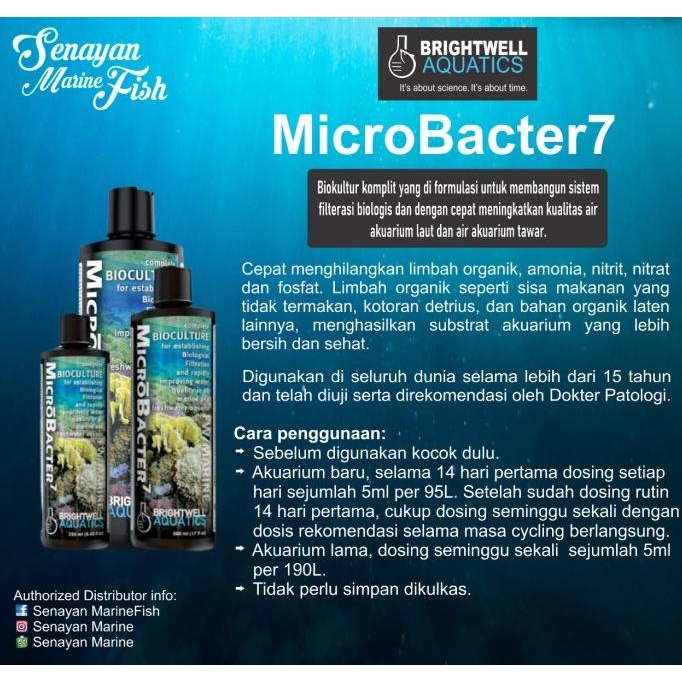 Jual Brightwell Microbacter7 (Mb7) 125Ml (Bakteri Komplit) | Shopee ...