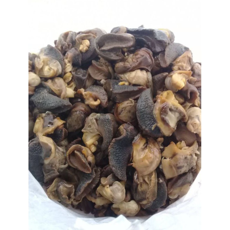 Jual DAGING BEKICOT SEGAR DAN BERSIH |TINGGAL OLAH | 1 Kg | Shopee ...