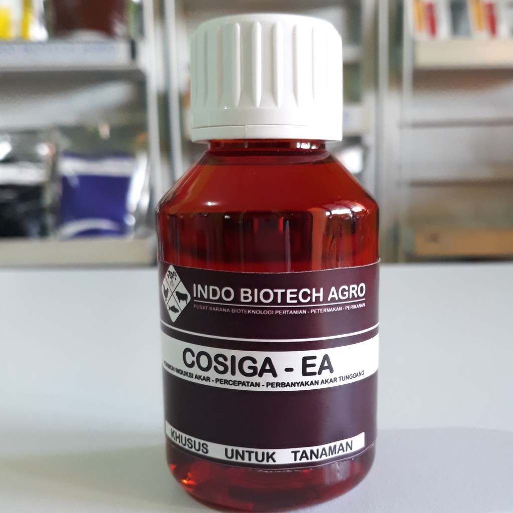 Jual Cosiga EA 100ml | Shopee Indonesia