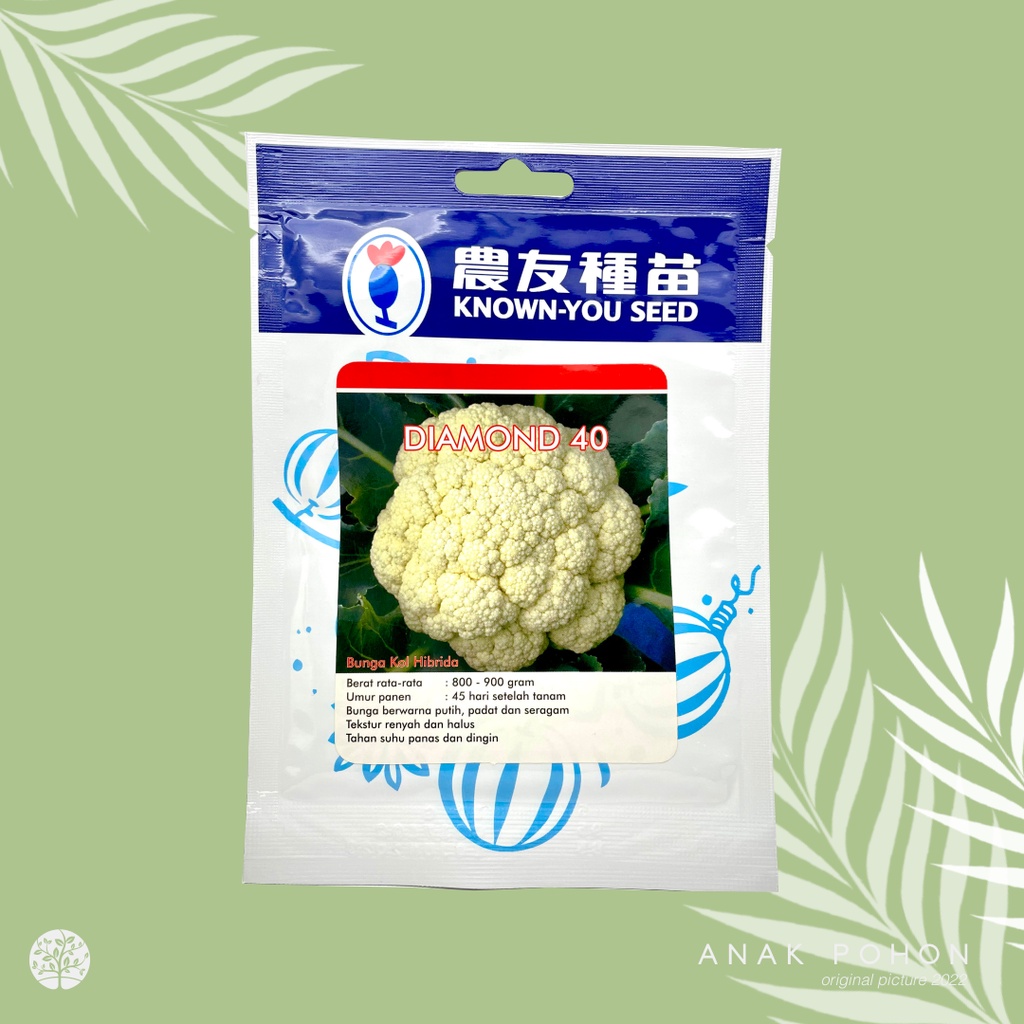 Jual (1 PACK) Benih Kembang Kol Diamond 40 Bunga Kol Hibrida F1 Seeds ...