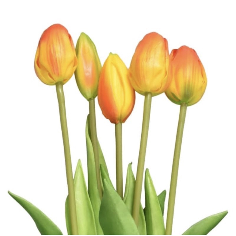Jual Bunga tulip latex super premium 1 iket isi 5 tangkai | Shopee ...