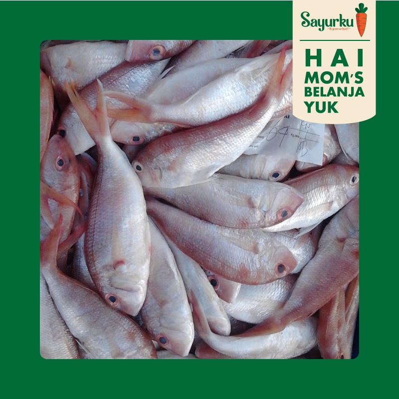Jual Ikan Jangki 500gr | Shopee Indonesia