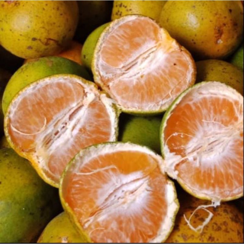 Jual JERUK KALIMANTAN SUPER KUALITAS ( KULIT TIPIS MANIS ) PILIHAN ...