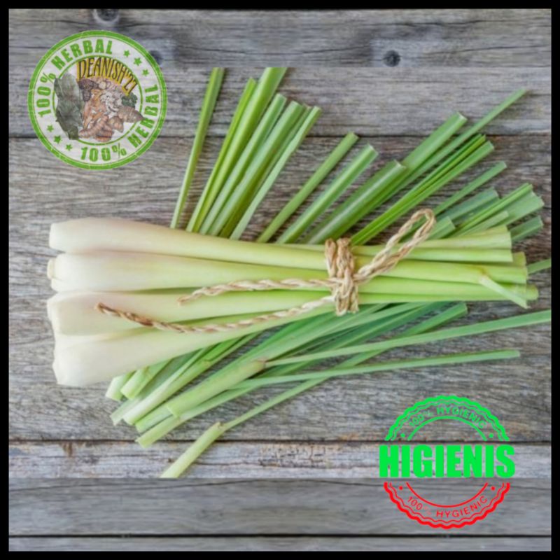Jual Sereh besar-Serai wangi Segar/Fresh/besar/jumbo 1kg | Shopee Indonesia