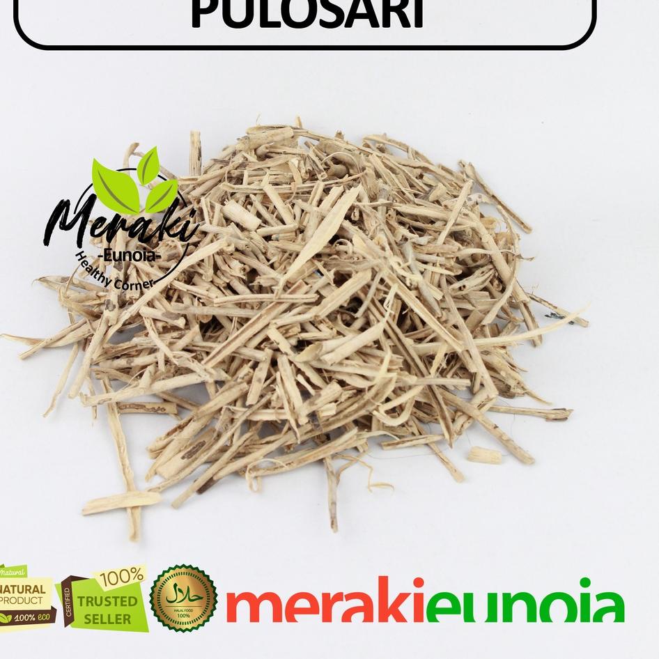 Jual Limited - Pulosari Kering 1Kg / Kulit Kayu Pulosari Kering ...