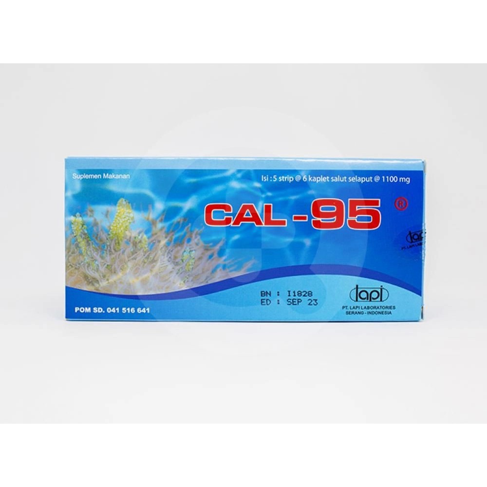 Jual Cal 95 Suplemen kalsium (kemasan strip isi 6 tablet) | Shopee ...
