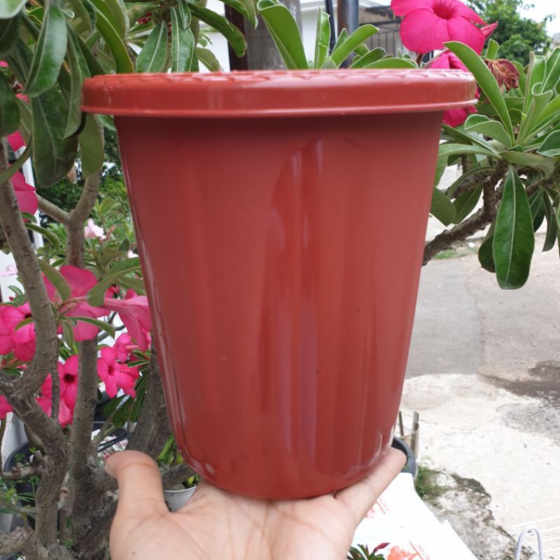 Jual Pot Bunga Golden Erna 15 Pot Bunga Model Tinggi Golden Erna 15 ...