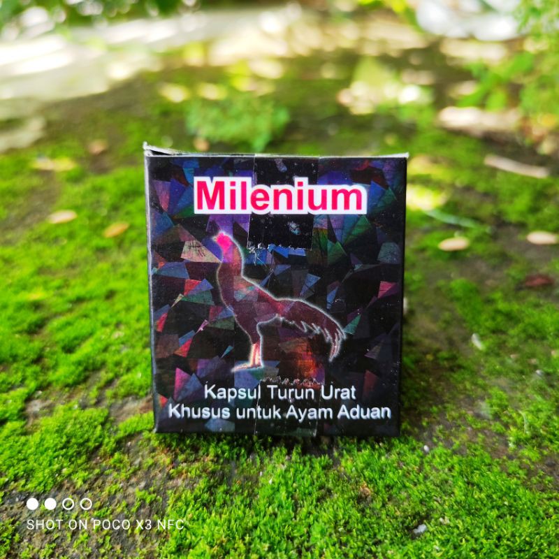 Jual Milenium Hologram Obat Ayam Sakit Turun Urat Inflamasi Nyeri Otot ...