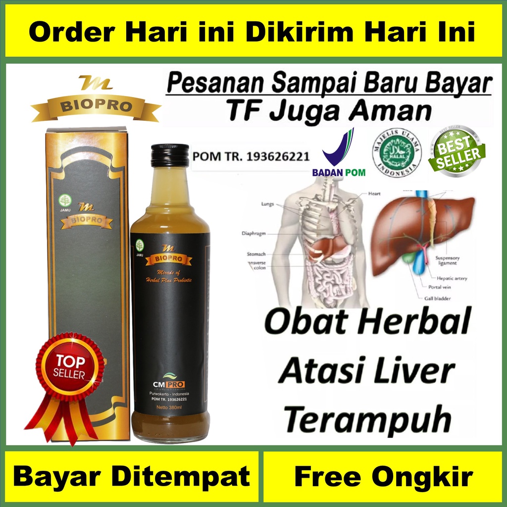 Jual Obat Liver Mbiopro Herbal Alami Penyakit kuning Sirosis Hepatitis ...
