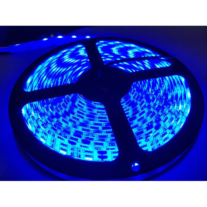 Jual 24V Dc Cahaya Biru Flex Led Strip 5050 Smd Waterproof 5 Meter ...