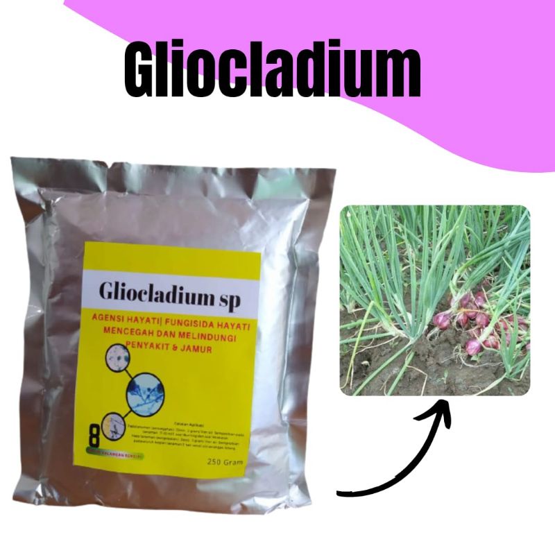 Jual Gliocladium Obat Penggerek Batang Jeruk, Obat Penggerek Batang ...