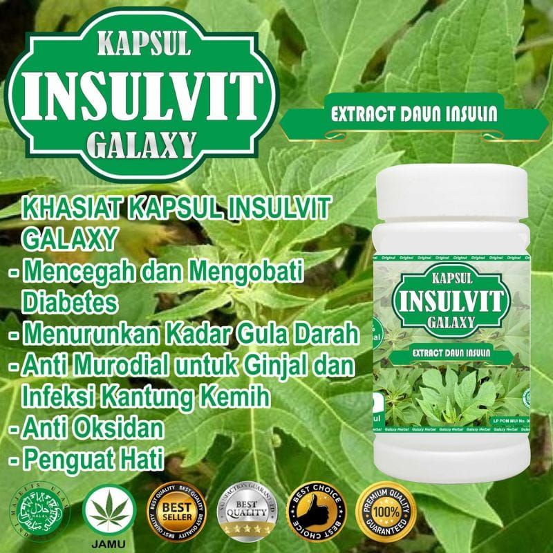 Jual KAPSUL INSULIN PENURUN GULA DARAH DIABETES | Shopee Indonesia